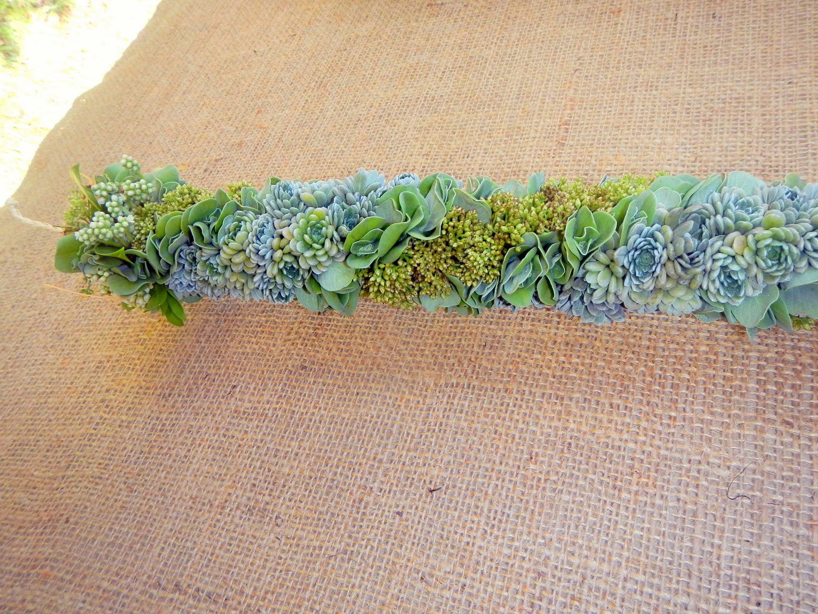 Hinahina, Kipukai, Beach Heliotrope and relatives for LEI DAY – Heidi ...