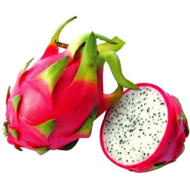 Dragon Fruit – Heidi Bornhorst